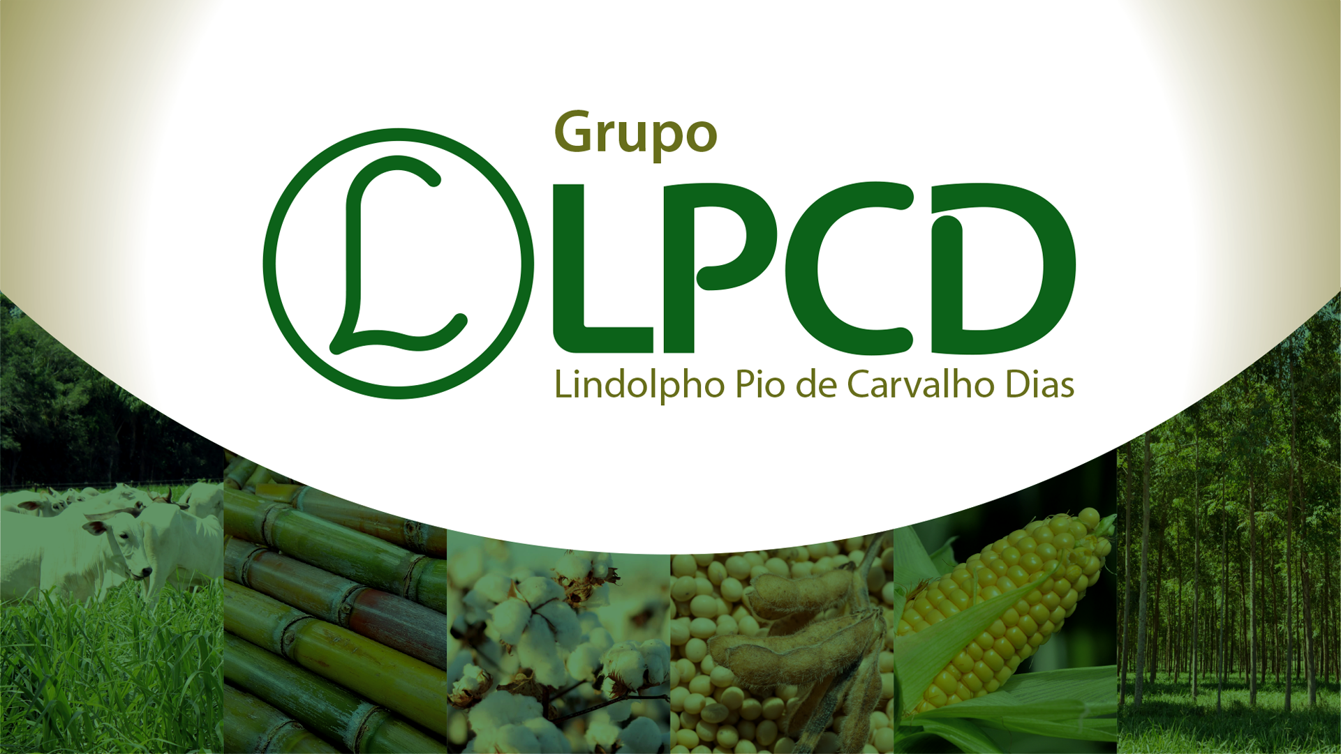 Grupo LPCD